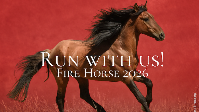 Energized for the Year of the Fire Horse! - Return to Freedom